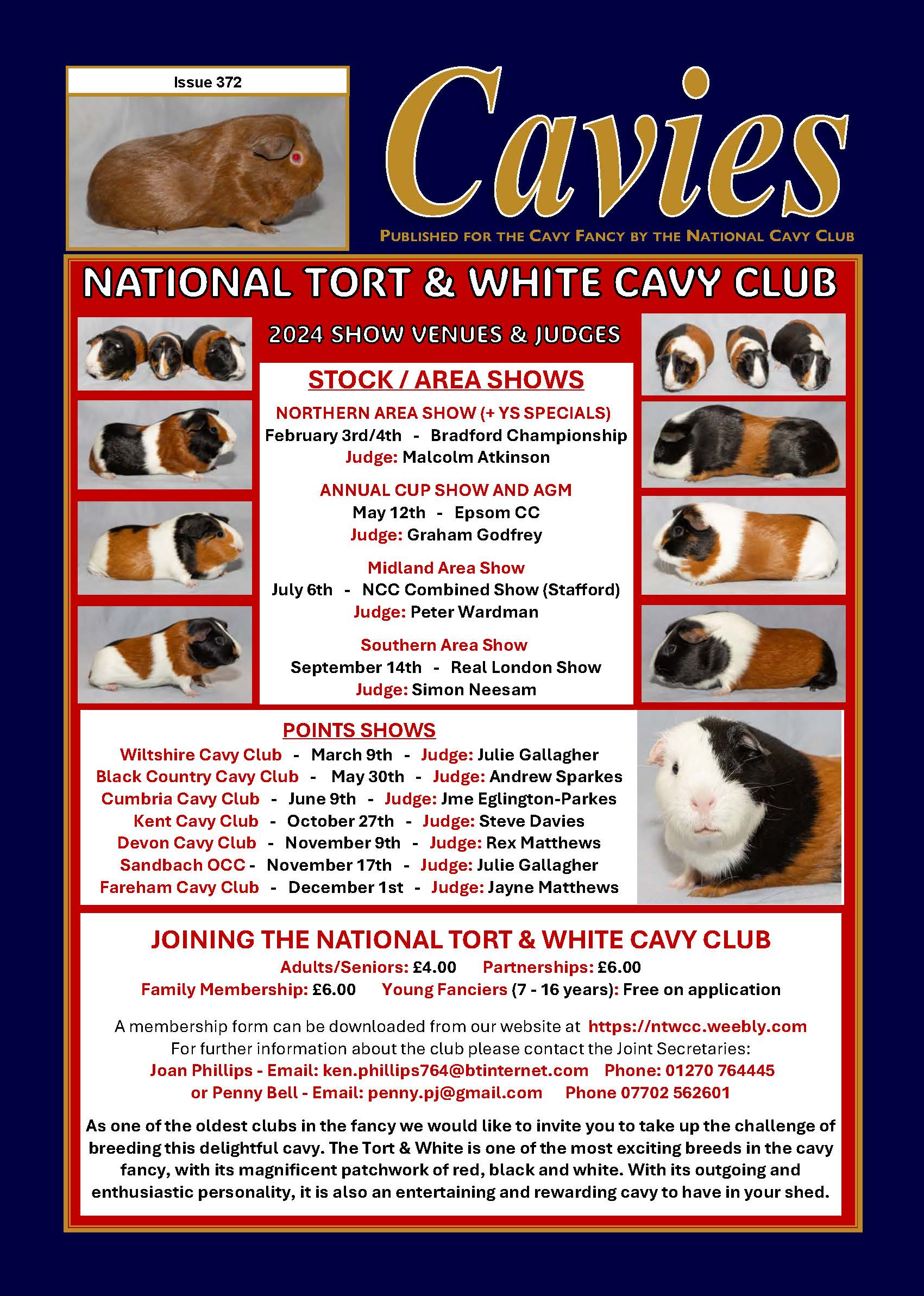 No.372 March 2024 - National Cavy Club
