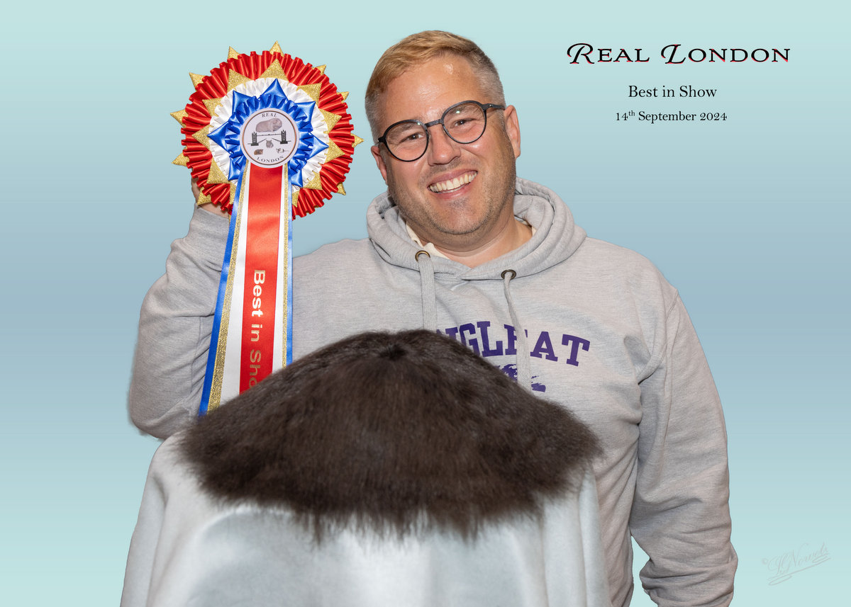 November CAVIES published - National Cavy Club