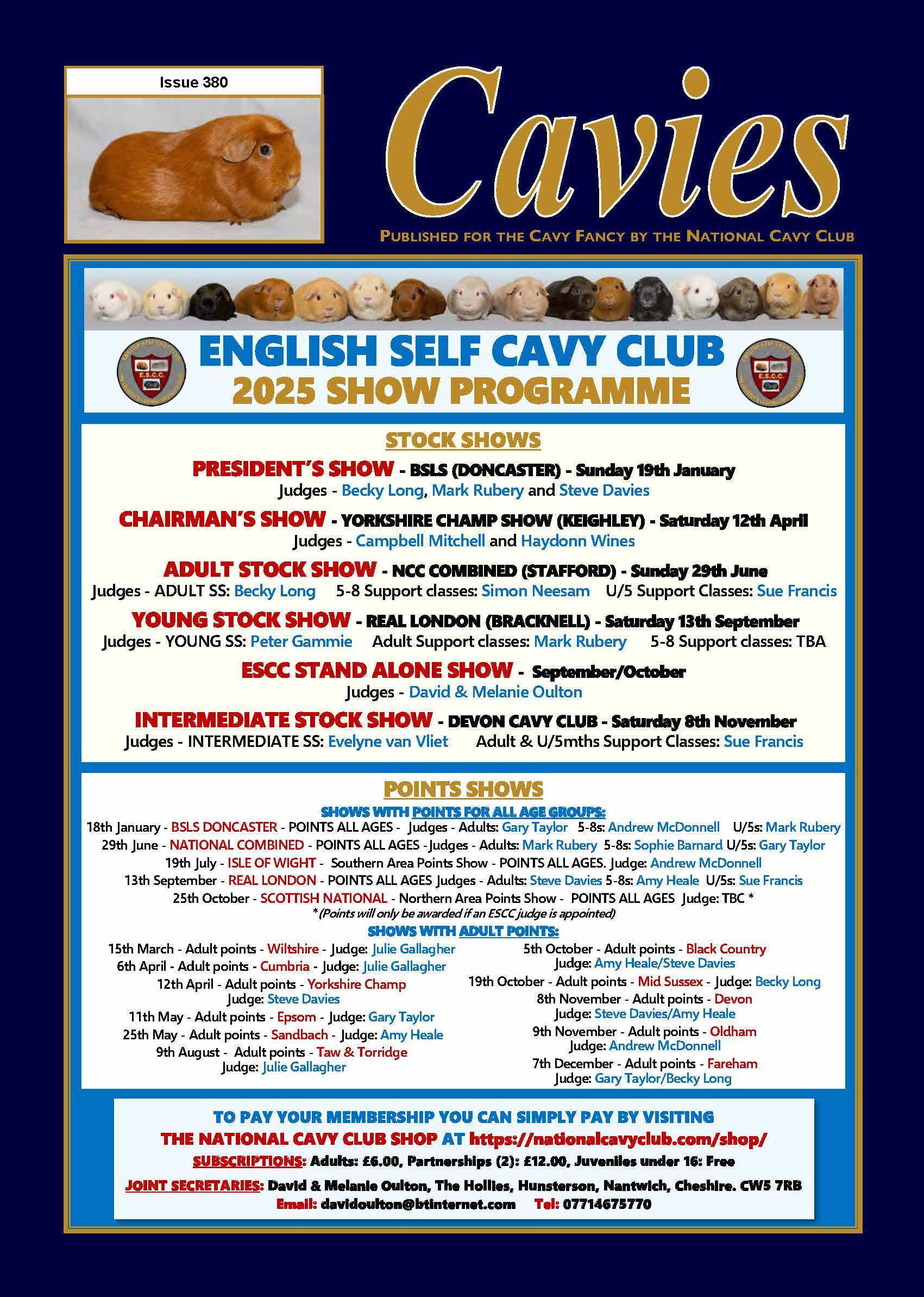 No.380 January 2025 - National Cavy Club